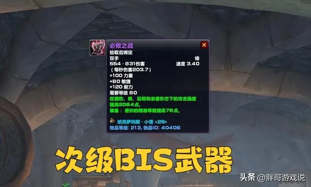 魔獸WLK：NAXX小怪掉落，6件極品裝備屬性分析，包含部分職業BIS – 遊戲内參